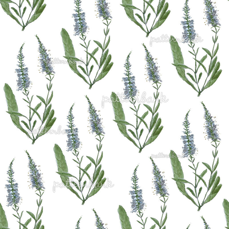 Watercolor Melissa Herbs. Green Tea Herbs by Tatiana Vovchek Seamless ...